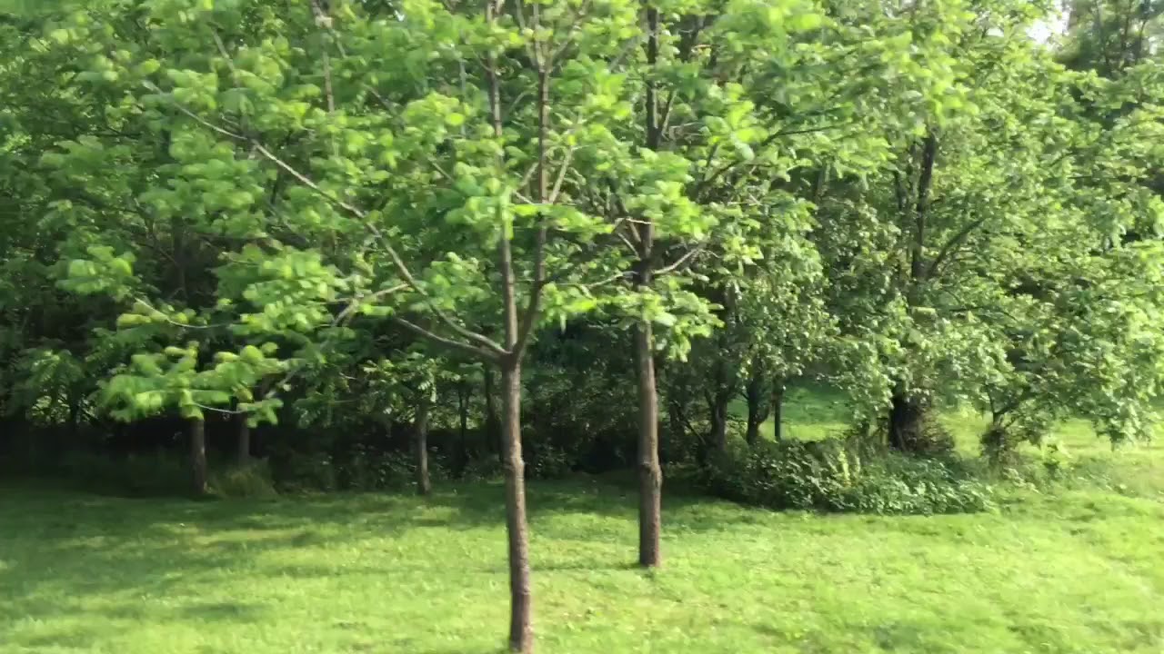 Because The Beatles (April Marion) - YouTube