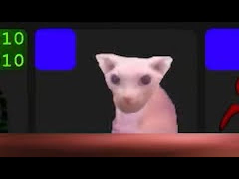 How to get bingik and dudemik