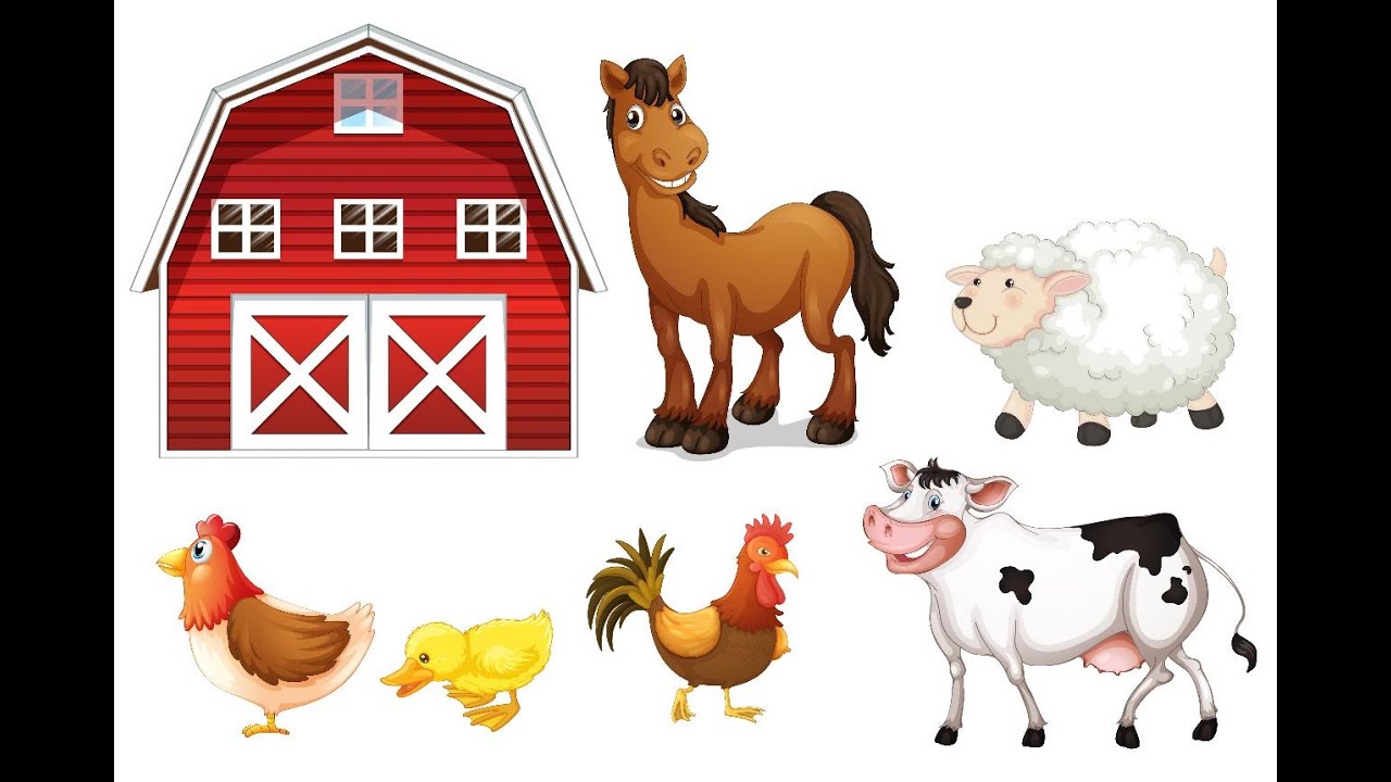 Farm Animal Flashcards for Kids: Discover and Learn the Names of Furry ...