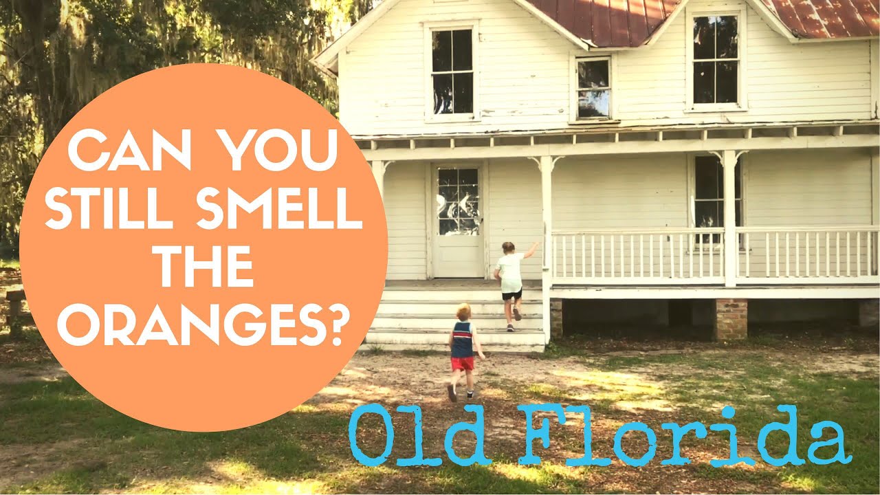 A Taste of Old Florida - Alpine Groves Park - Switzerland, Florida ...