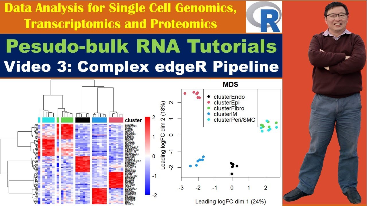 Pesudo-bulk RNA TutorialsVideo 3: Complex edgeR Pipeline - YouTube