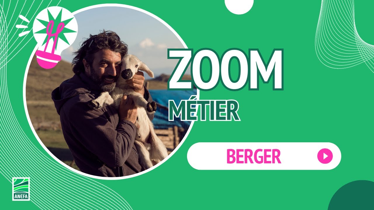 Fiche métier | Berger - YouTube