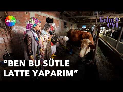 Emine Gelin çiftlikteki gelinlere inek sağmayı öğretiyor! | Gelin Evi 1655. Bölüm