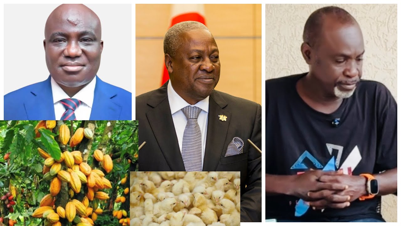 Nkoko Nkete Nkete Begins😳 ZITO tours his Cocoa Farms😳 Farm Loan to ...