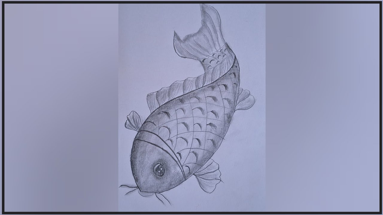 How to Draw Fish Easy | Fish Drawing | Fish Pencil Sketch | Easy ...