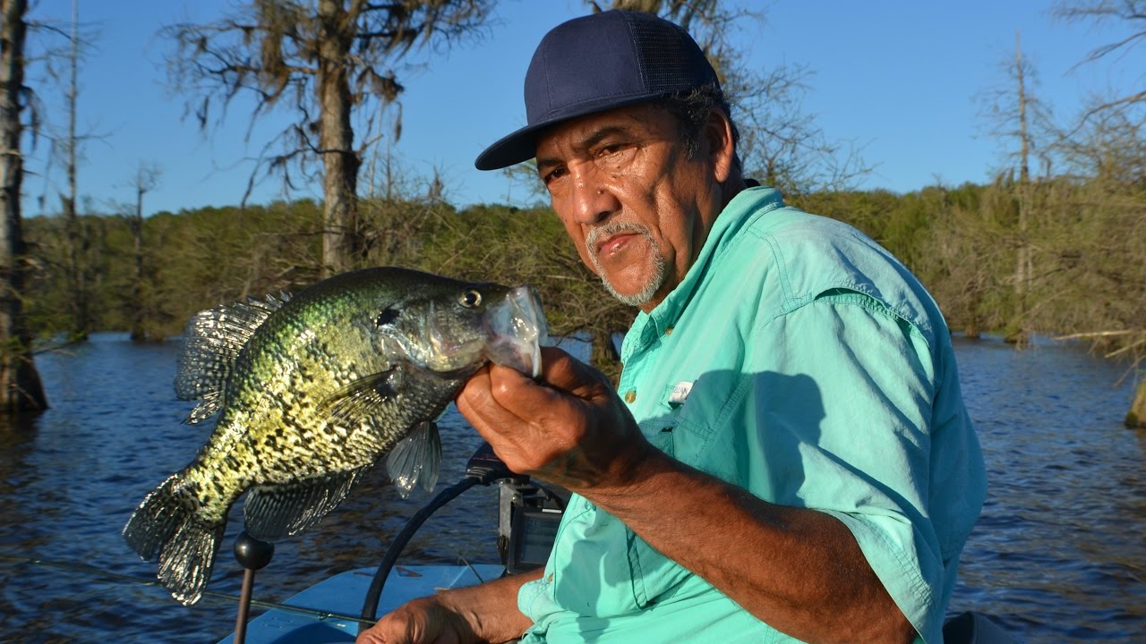 Jigging Trees For White Crappie / Catch & Cook / Crappie Fishing - YouTube