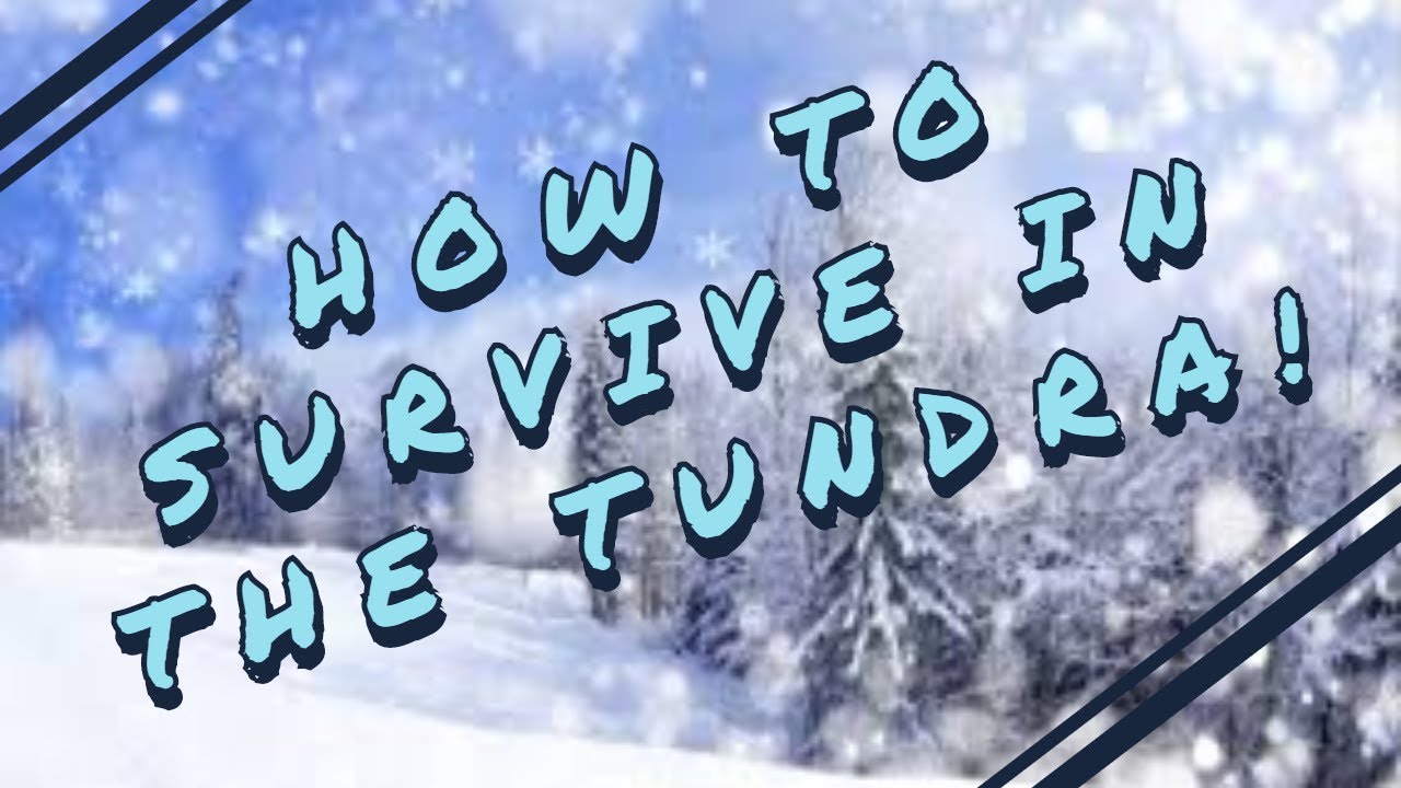 ROGUE LINEAGE: HOW TO SURVIVE IN THE TUNDRA - YouTube