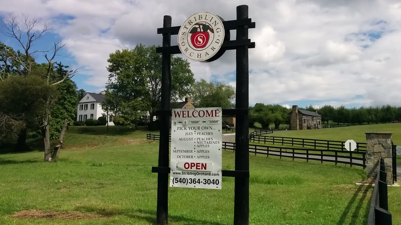 Apple Picking at Stribling Orchard in Markham, Virginia (Fauquier ...
