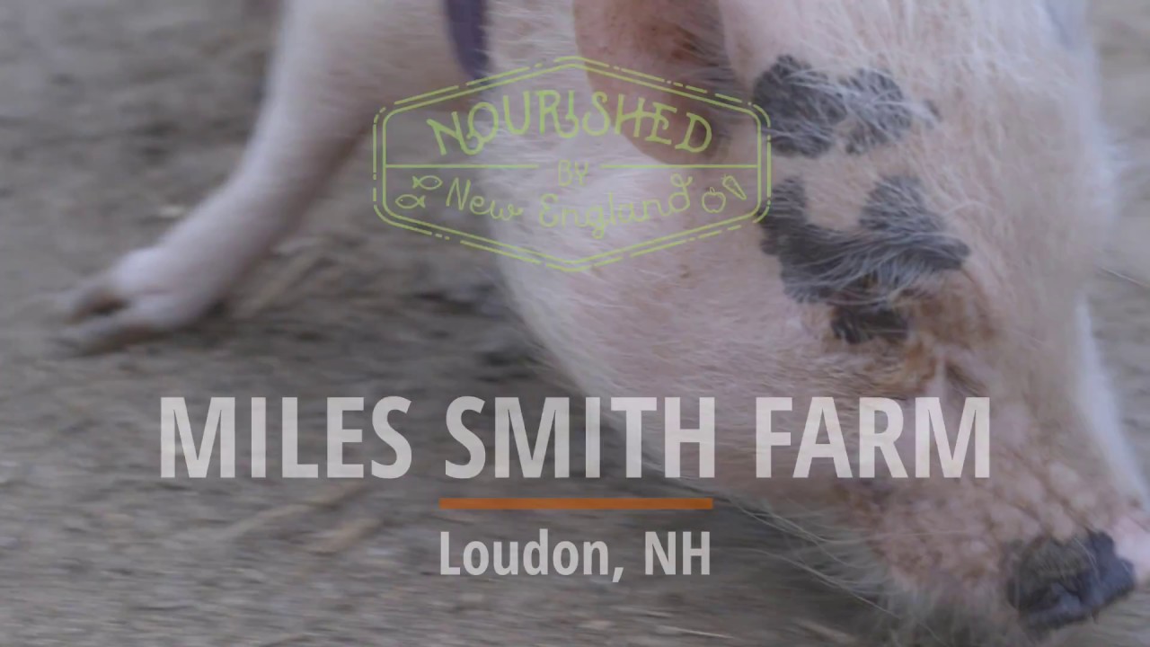 Faces of New England: Miles Smith Farm - YouTube