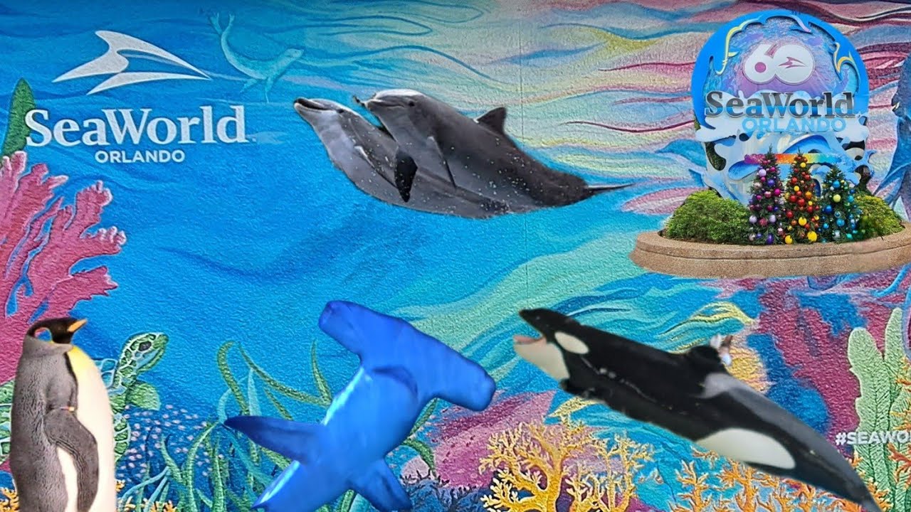 SeaWorld - Orlando, Florida (Part 1-Dolphins, Sharks, Killer Whales ...