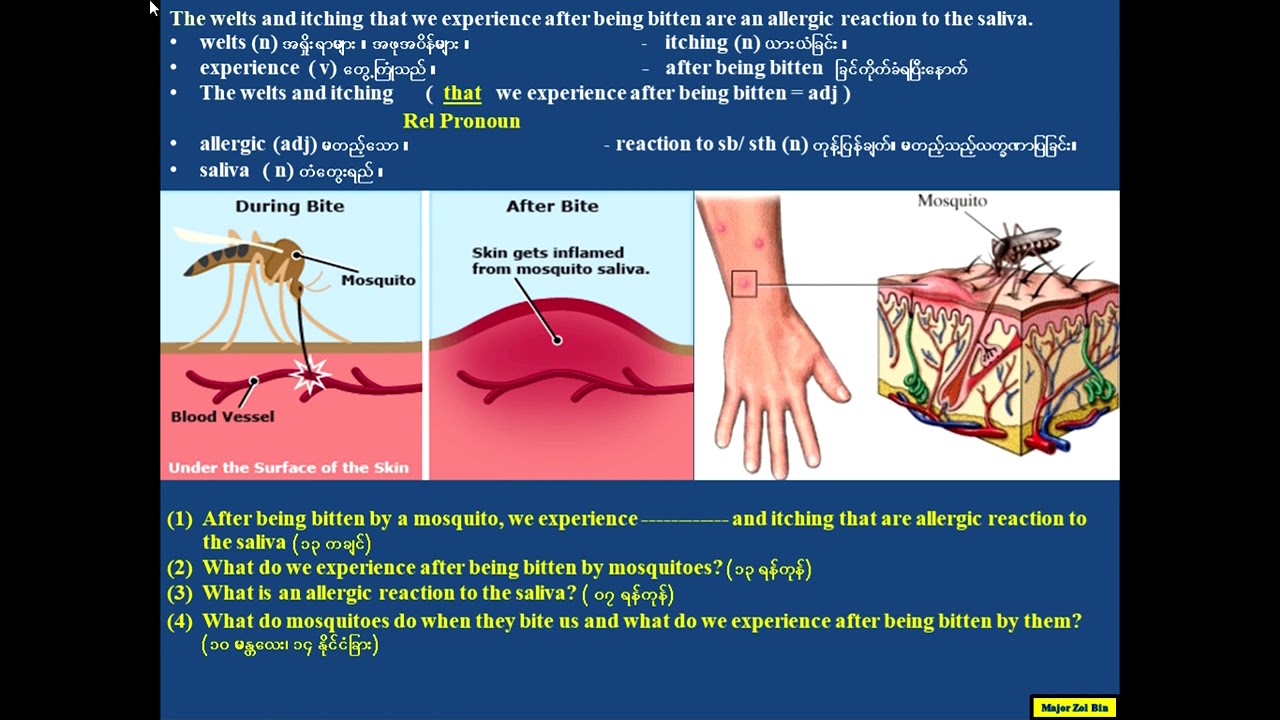 Unit 11 - Mosquito: Getting to Know the enemy - YouTube