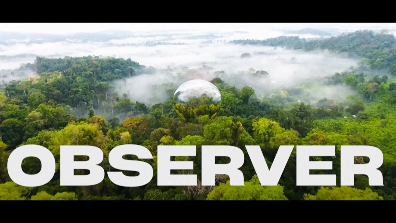 Observer - YouTube