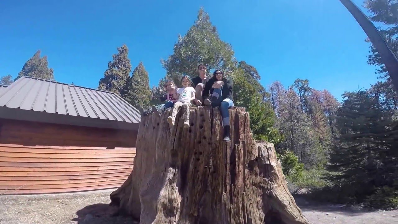 Three Rivers and Sequoia National Park - YouTube