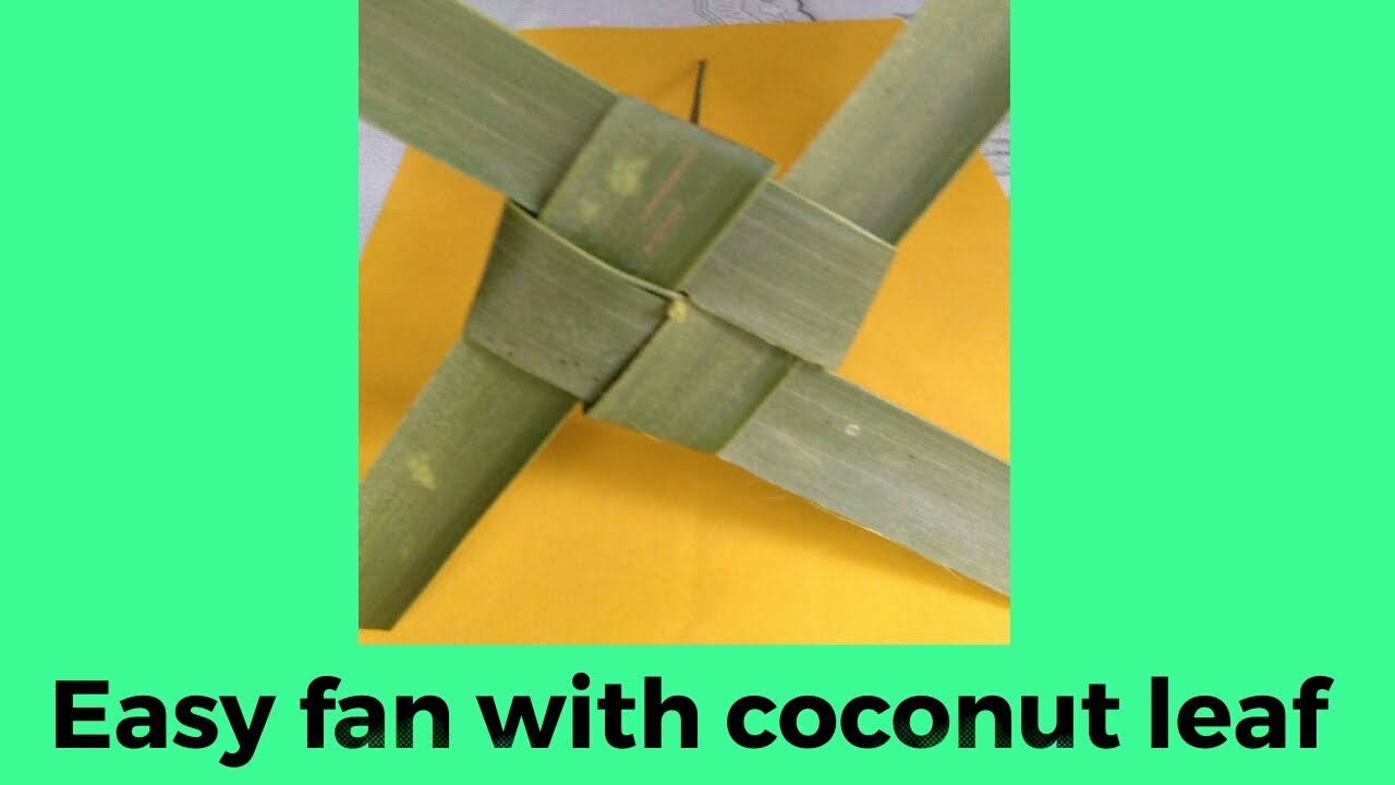 How to make a coconut leaf fan l toy wind fan l palm leaf fan l easy ...