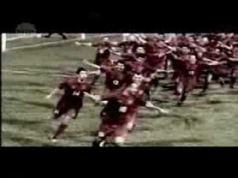 TURKEY TV COMMERCIALS OR PROZAC CLIP