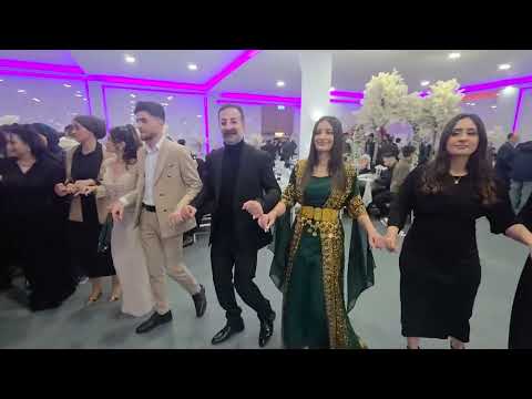 KOMA DİCLE 🔥🔥GRANİ 🔥🔥Bingöl /Çewlik ,Kanireş-Karlıpva düğünü