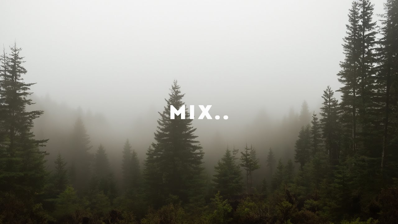 Mix | Relaxing Chill & Nature Sounds | Lofi Beats for Focus ...