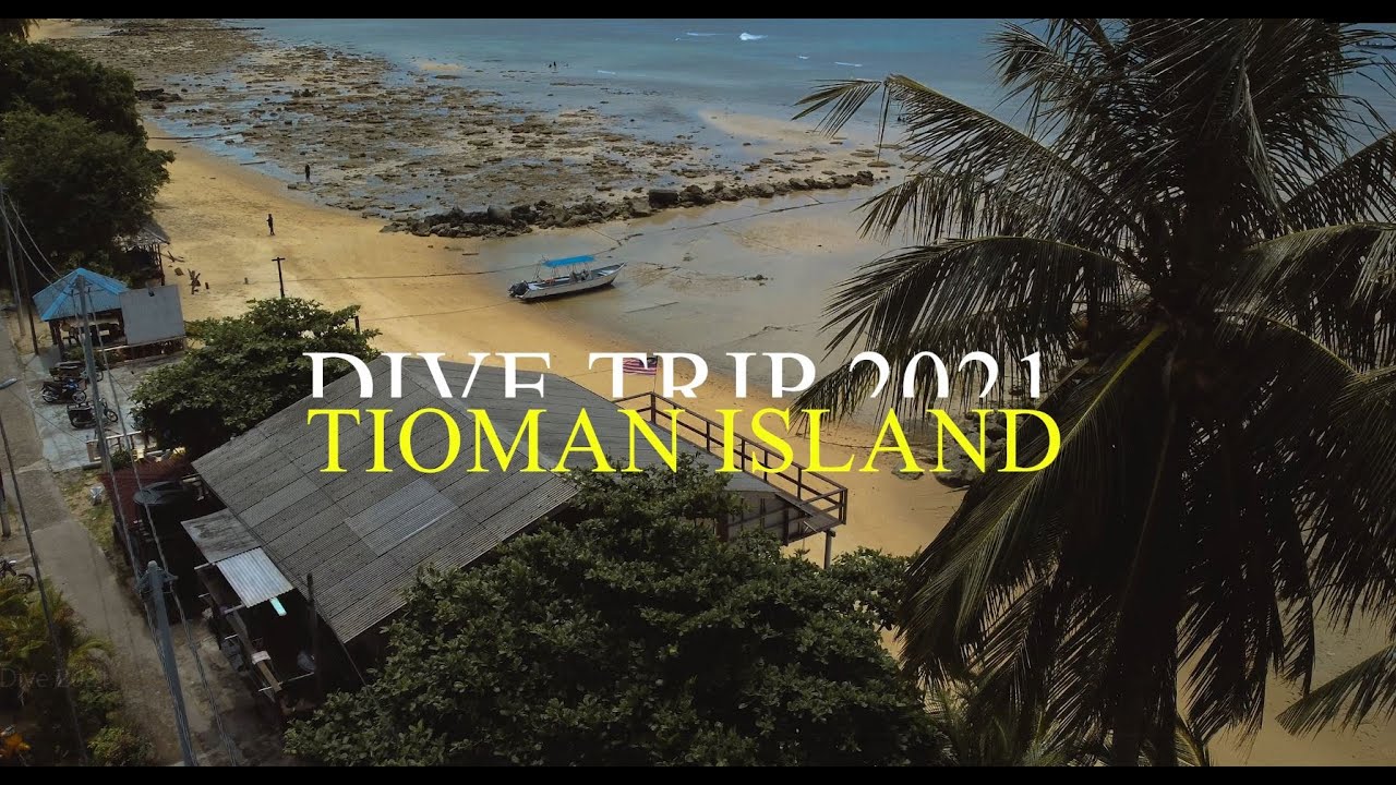 DIVE TRIP 2021 @ BAYU DIVE TIOMAN - YouTube