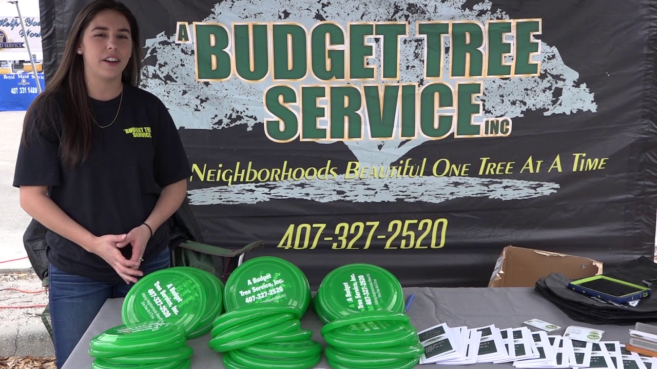 Budget Tree Service - YouTube