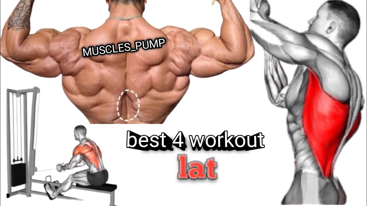 big back Exercises day 2 Build & Burn - IN THE GYM - YouTube