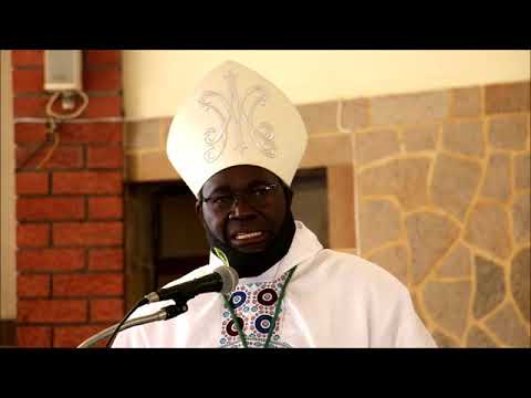 Salesians of Don Bosco Profession of First Vows 2020 - Video by ...