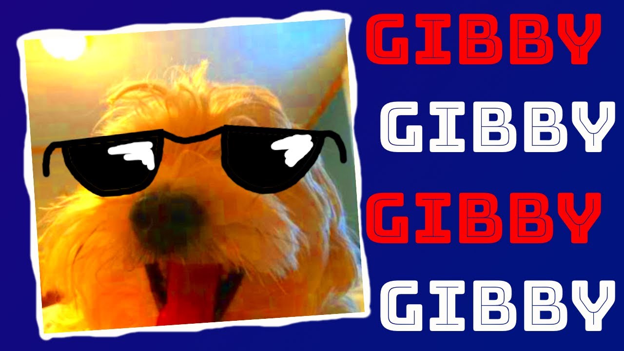 Top 10 BEST Gibby Pictures!!! - YouTube