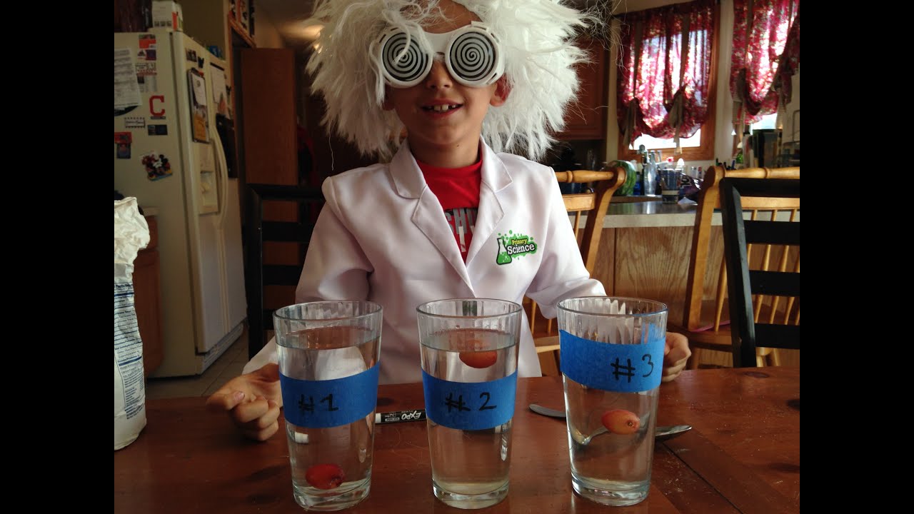 Prof Awesome - Floating Grape - YouTube