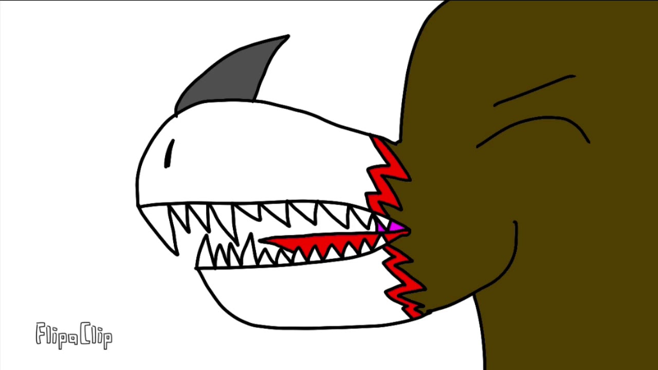 Kangaroo Transformation - YouTube