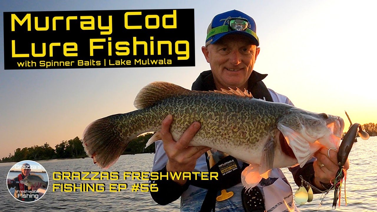 Murray Cod Lure Fishing | Lake Mulwala - YouTube