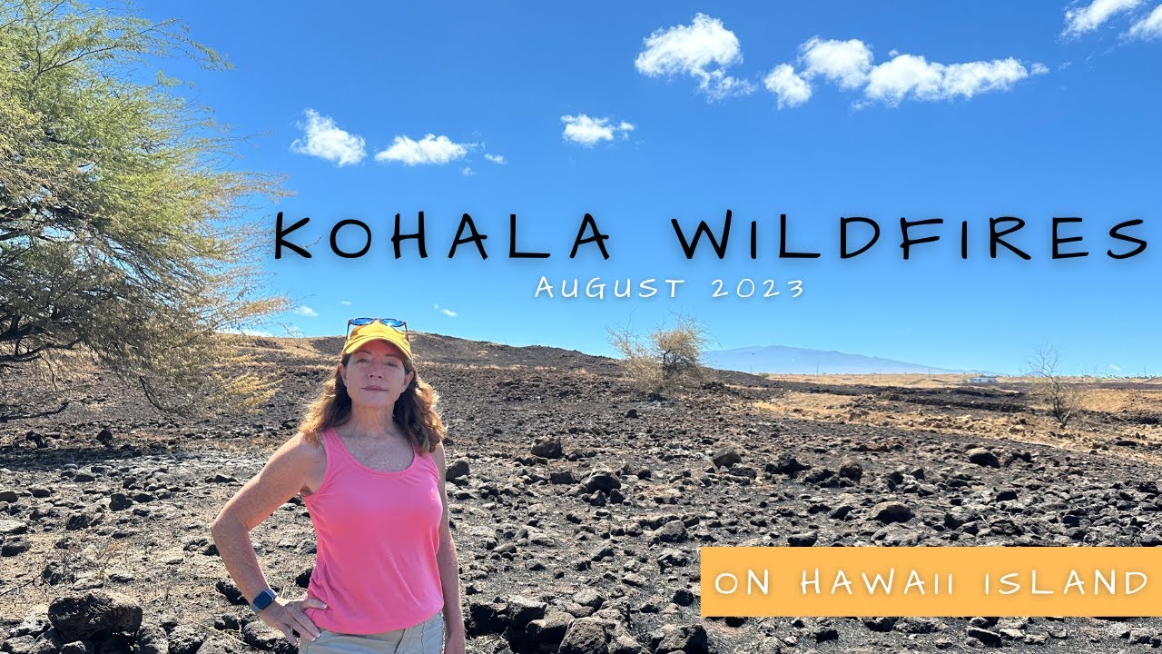 Hawaii Island Wildfire Update and How To Help Lahaina Fire Victims ...