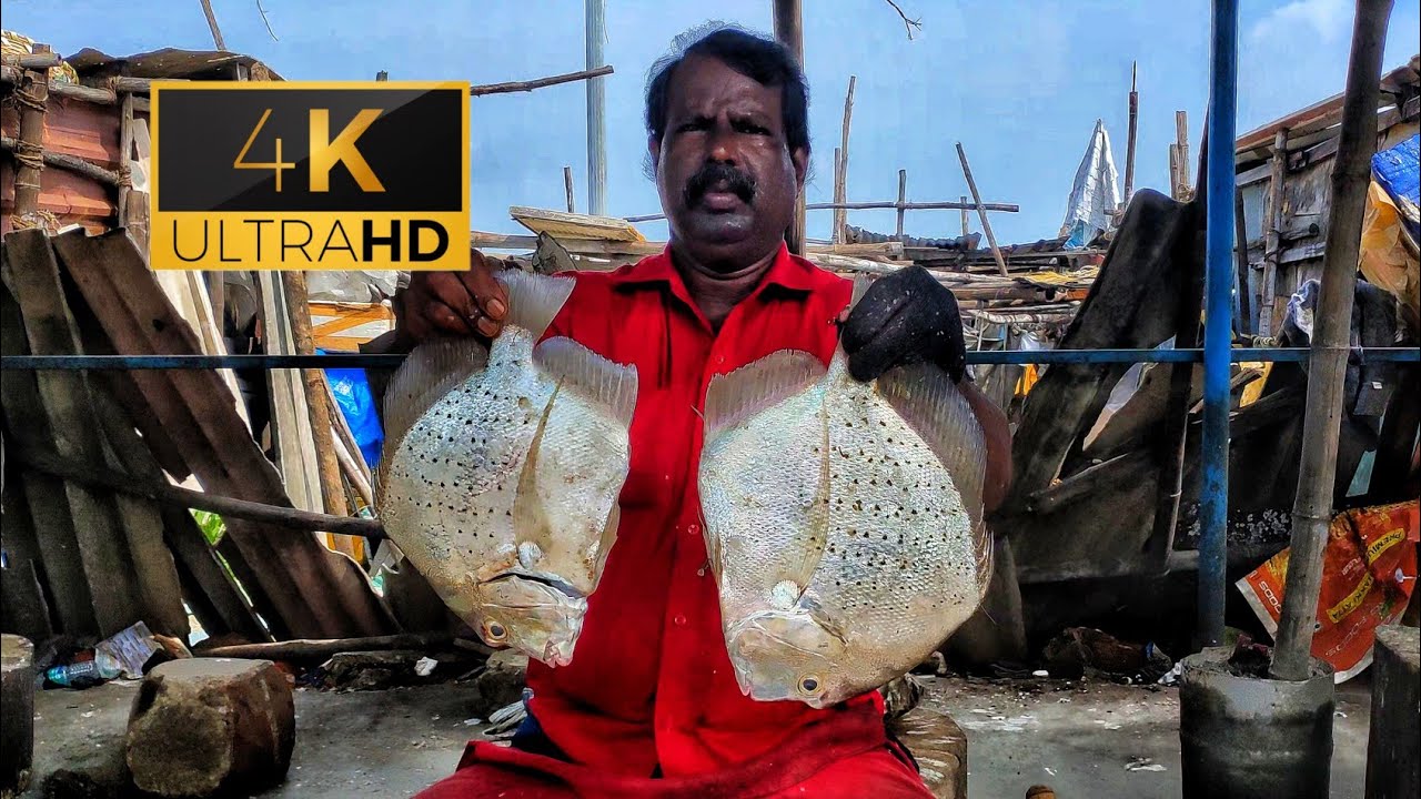🔥SILVER SPADE FISH CUTTING/VADIVELU FISH CUTTING SKILL/KASIMEDU FISH ...