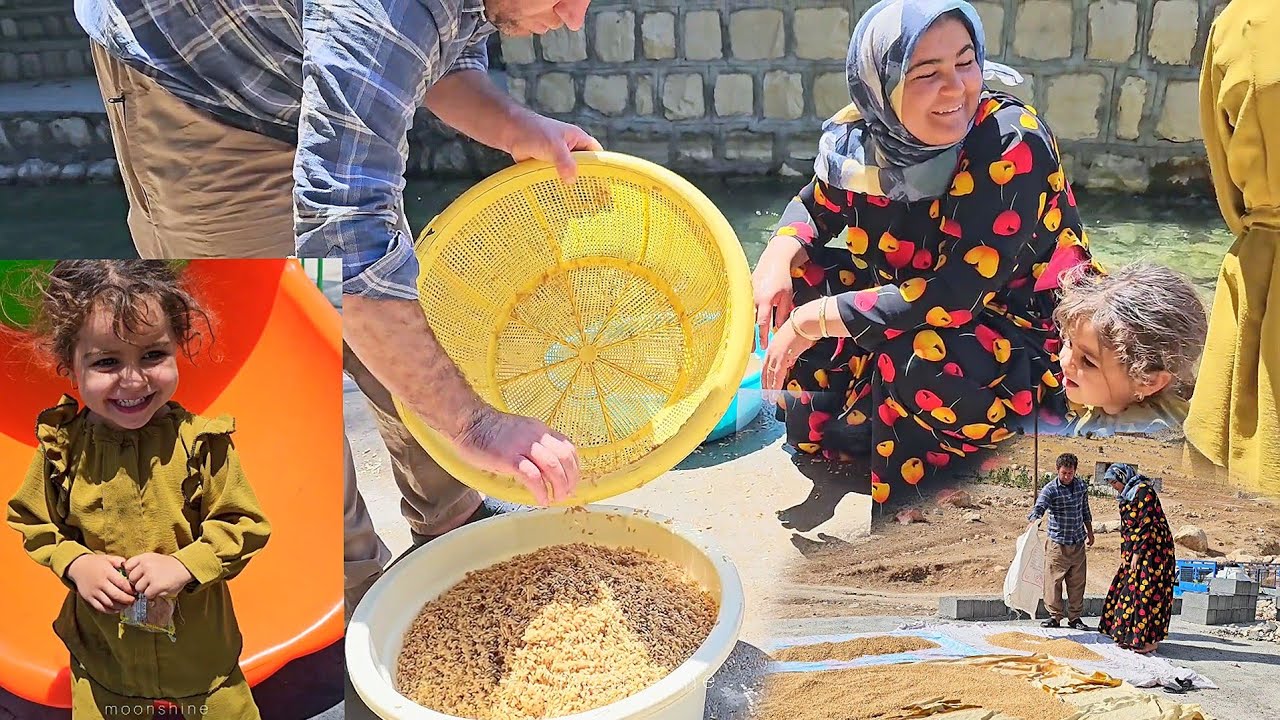 Today, washing wheat to make bread and getting drinking water from the ...