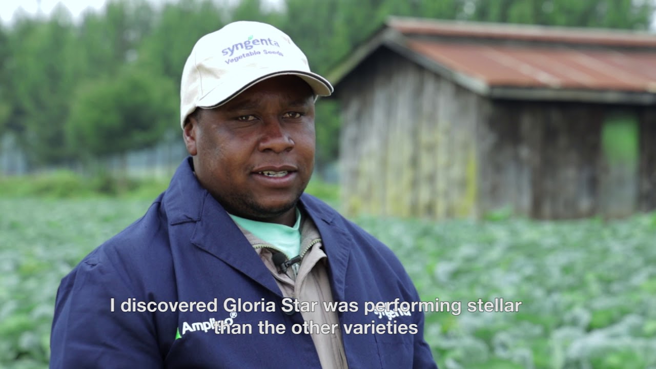Syngenta Grower Testimonial - Kenya - YouTube