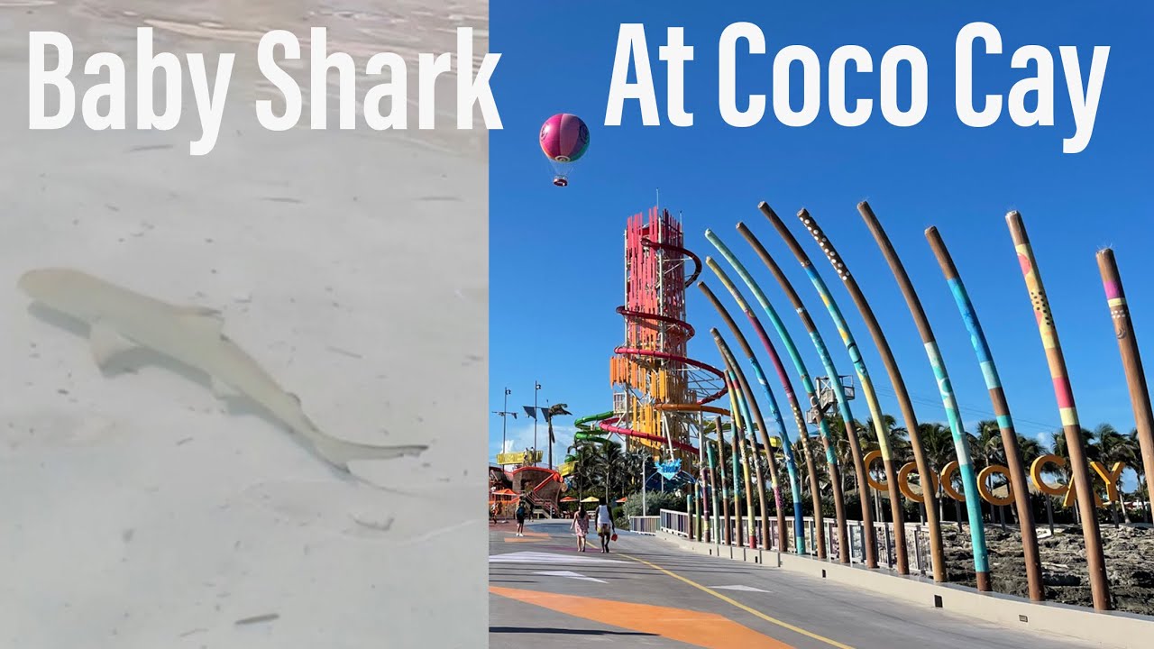 Baby Shark at Coco Cay, Royal Caribbean Cruise Line's Private Island ...