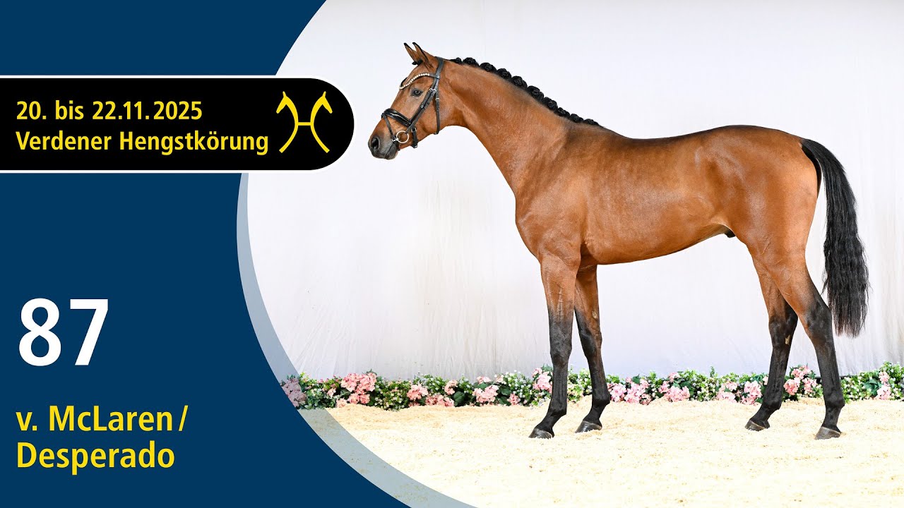 No. 87 Stallion by McLaren - Desperado | Verden Stallion Licensing 2025 ...