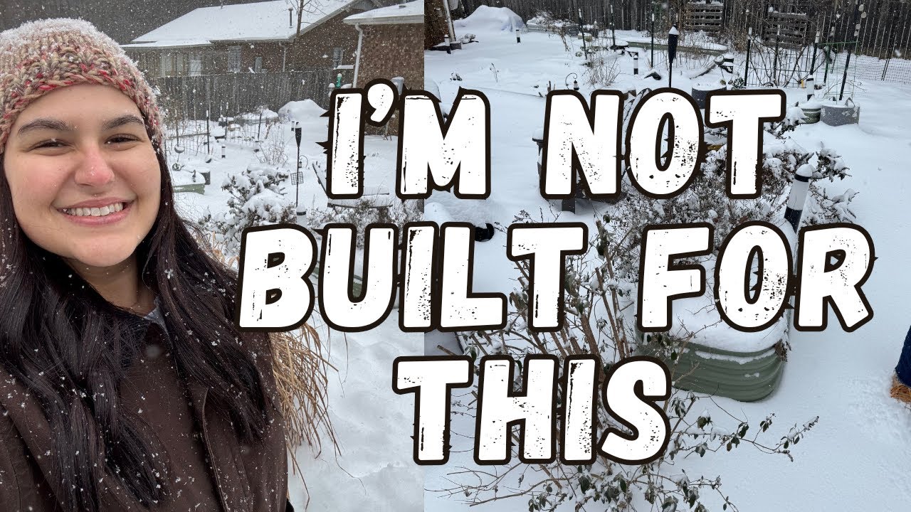 Winter Storm Prep on the Mini Homestead VLOG - YouTube