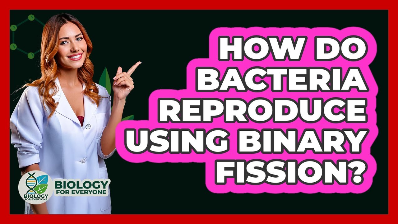 How Do Bacteria Reproduce Using Binary Fission? - Biology For Everyone ...