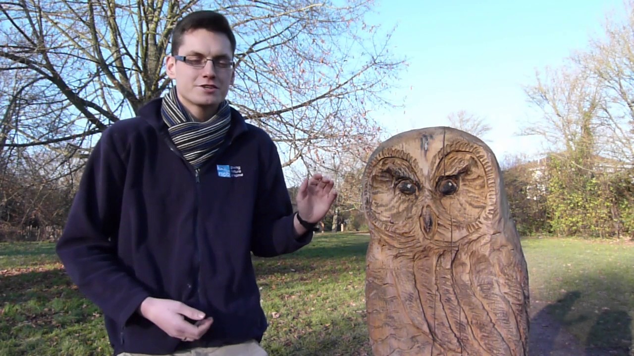 Owl hugging video A to Z - YouTube