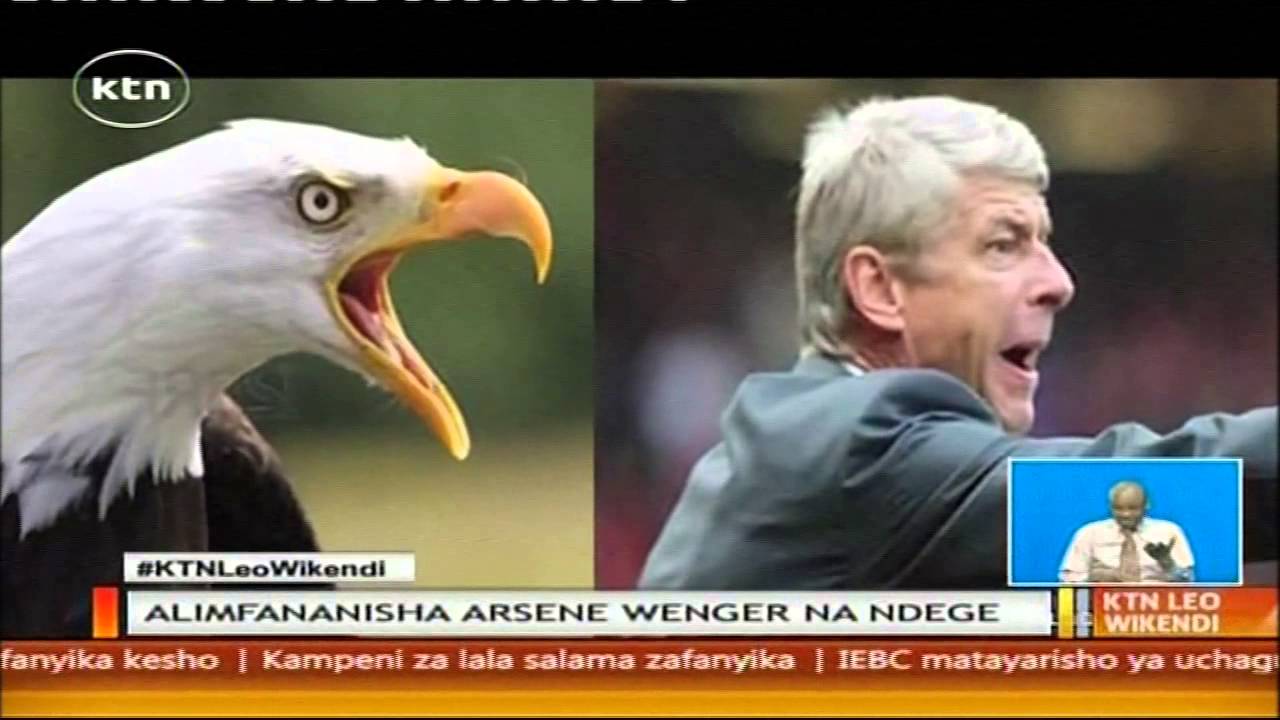 DOZI DOZI: Mwanahabari amfananisha Arsene Wenger na ndege aina ya Tai ...