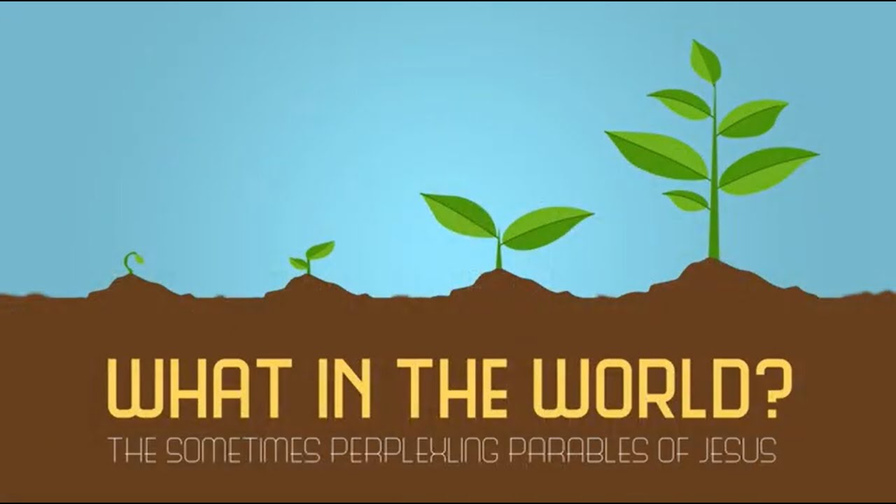 What In The World - The Sometimes Perplexing Parables Of Jesus (Todd ...