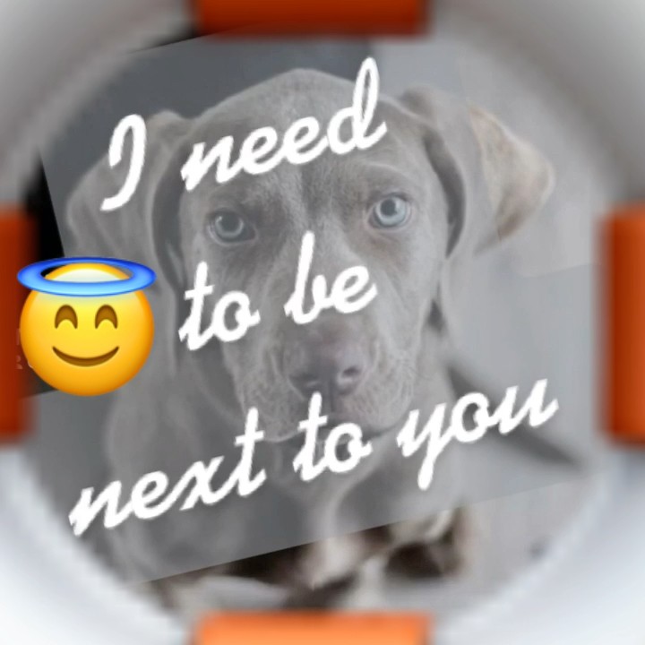 2/5/25 I need to be next to you - YouTube