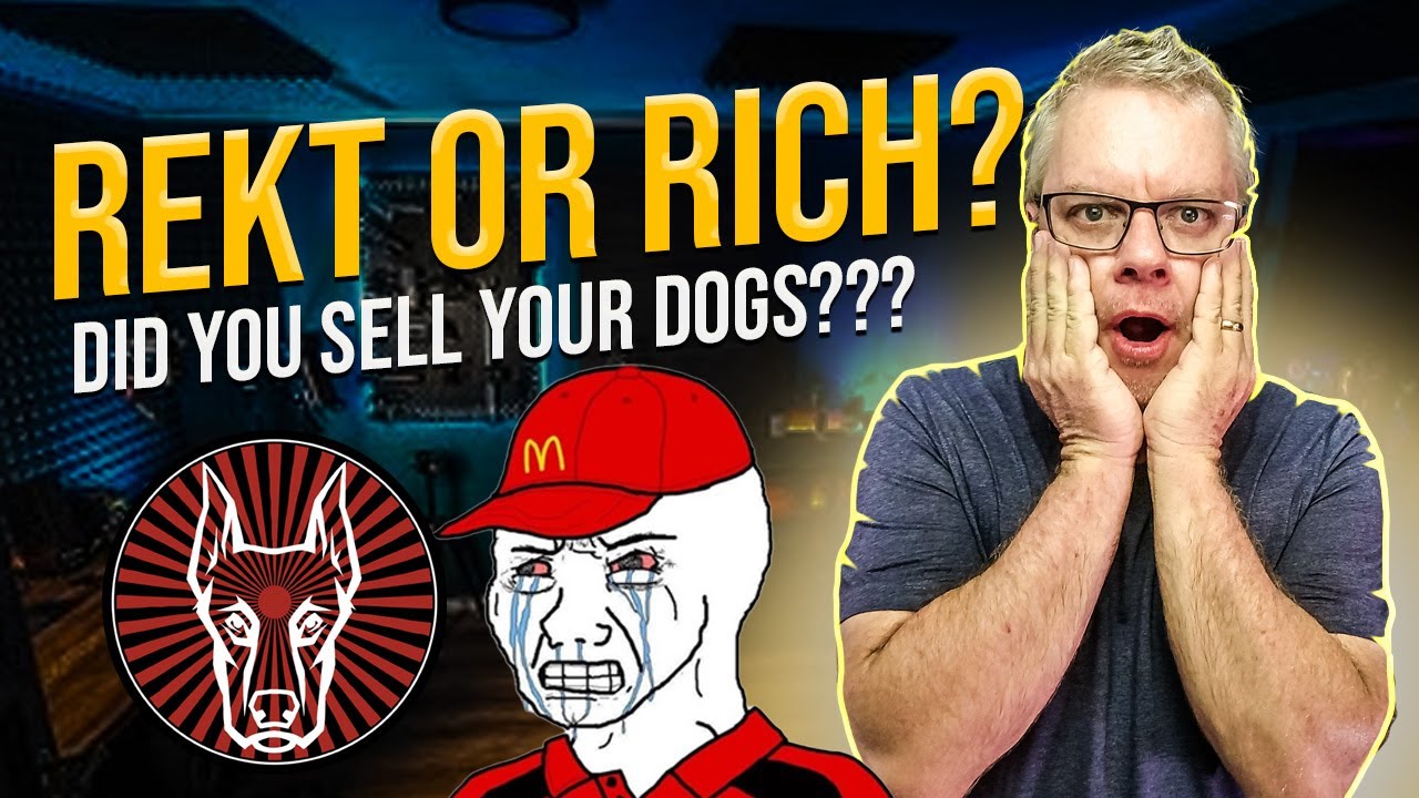 URGENT!!! DON'T SELL YOUR DOGS!!!! (AFD) - YouTube