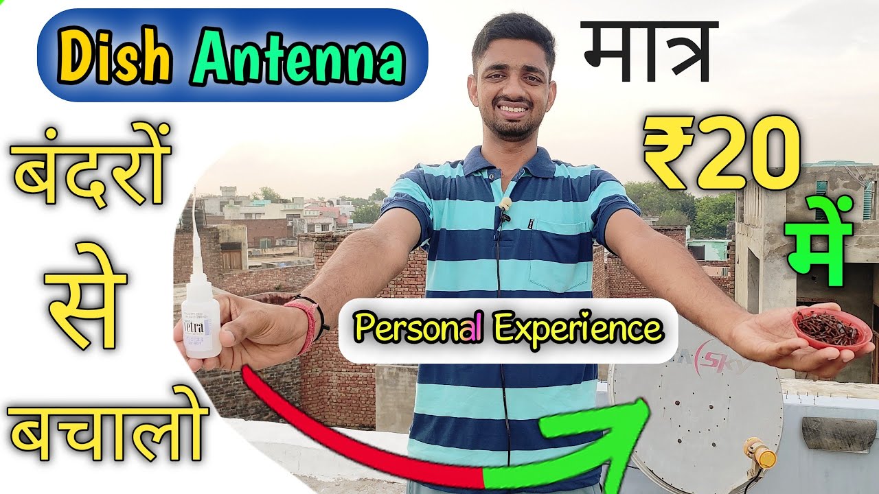 How to save Dish Antenna From Monkeys 🐒 | DTH डिश एंटीना बंदरों से कैसे ...