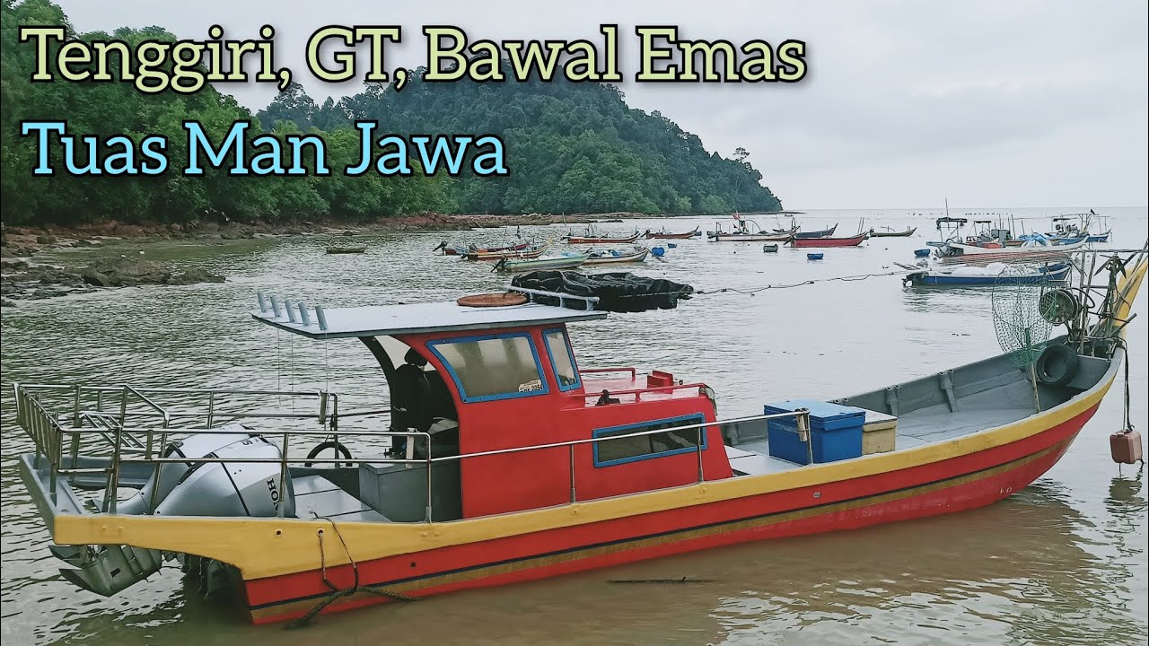 Mancing Tenggiri, GT & Bawal Emas Monster - Tuas Man Jawa, Pulau Sayak ...