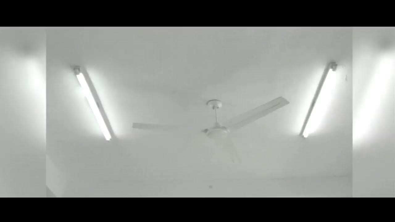 News 5 Live - YouTube