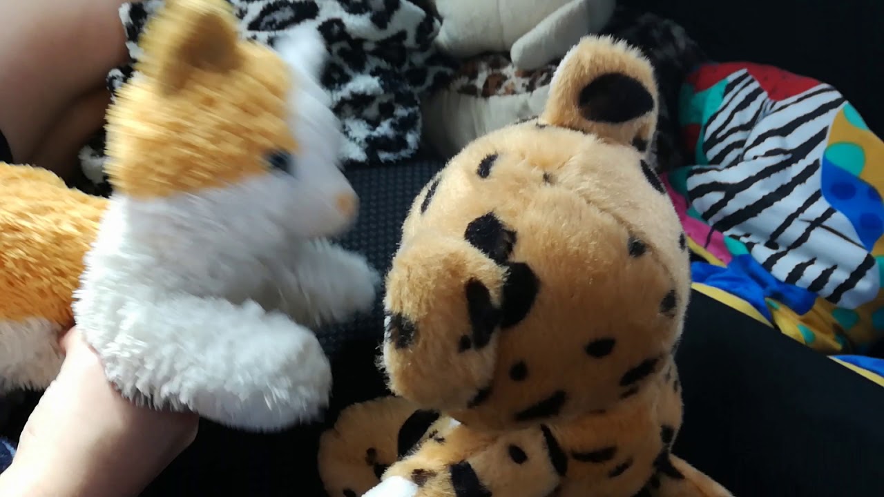 Ummm....Cat hero I guess - YouTube