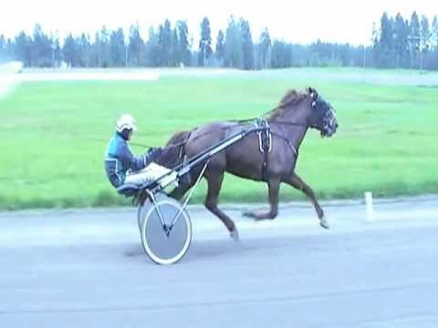 Viranne 14.9