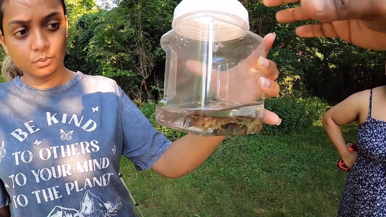 Fishing With Crawfish Catching Pan Fish for Bait || Tips and Techniques ...