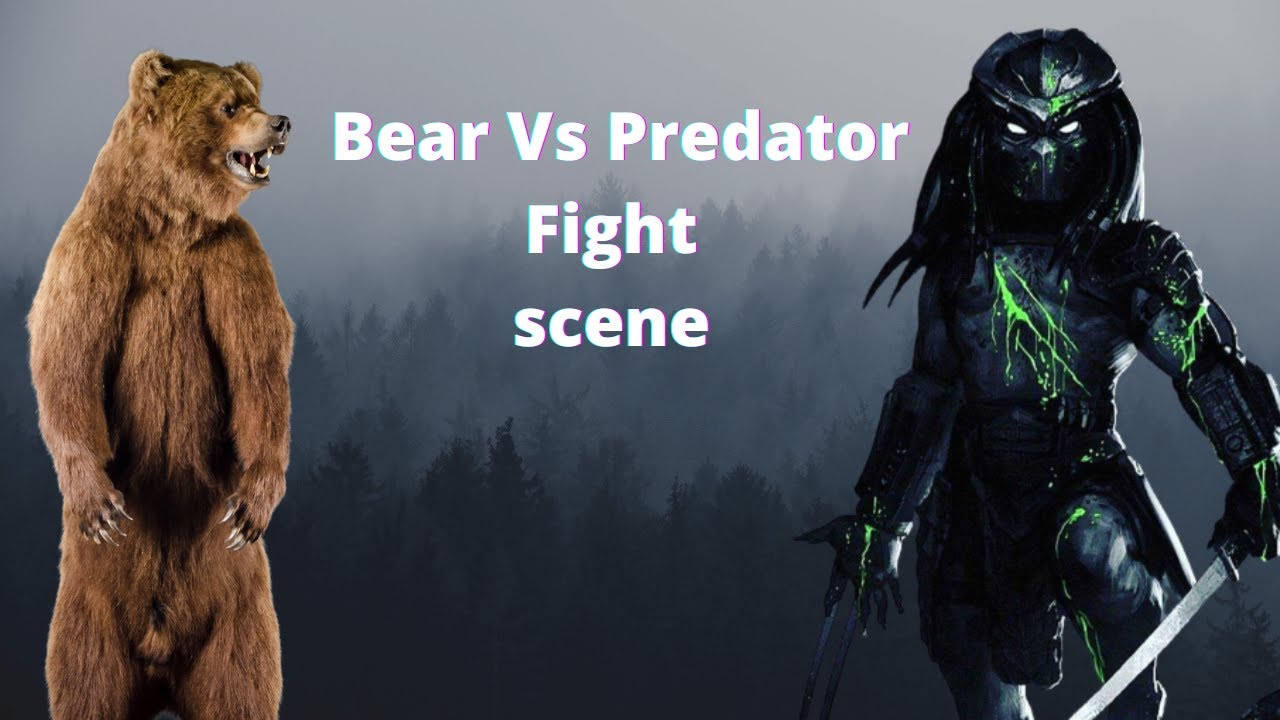 Satisfy fight scenes in Prey (2022) - Bear vs Predator - YouTube
