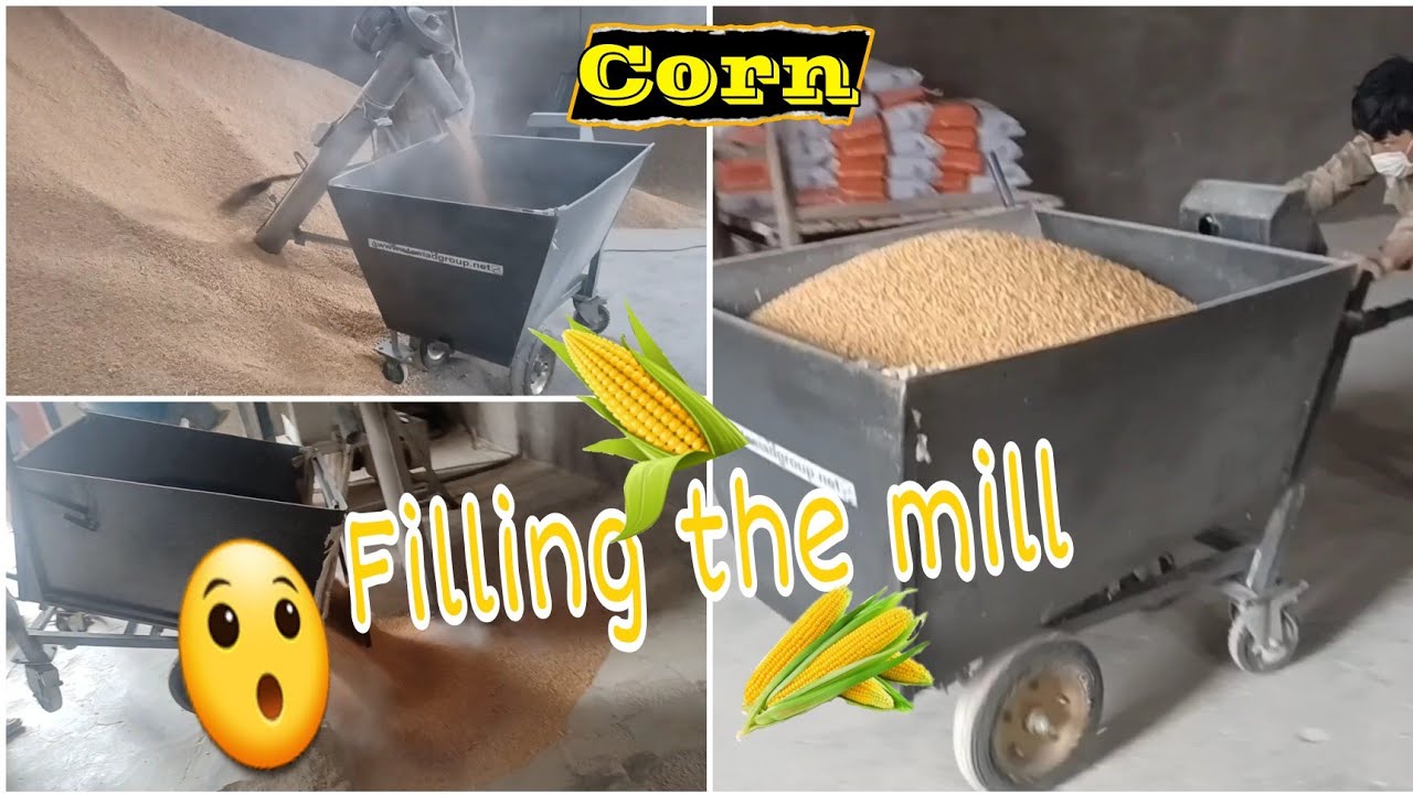 Corn 🌽 filling. filling the mill #in-stock - YouTube